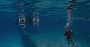 Safety Stop vs Decompression Stop in Scuba Diving | FAQs