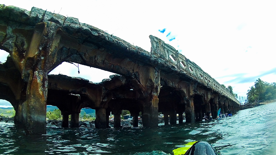 Dive with Sea Turtles & Sharks at Mala Wharf Pier in Maui